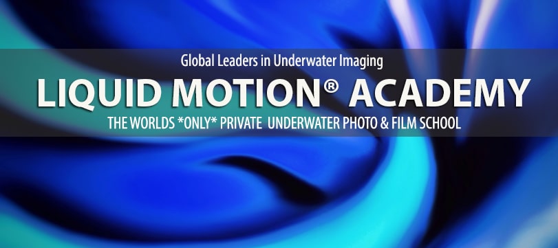 Liquid Motion Underwater Photo & Film Academy Cozumel